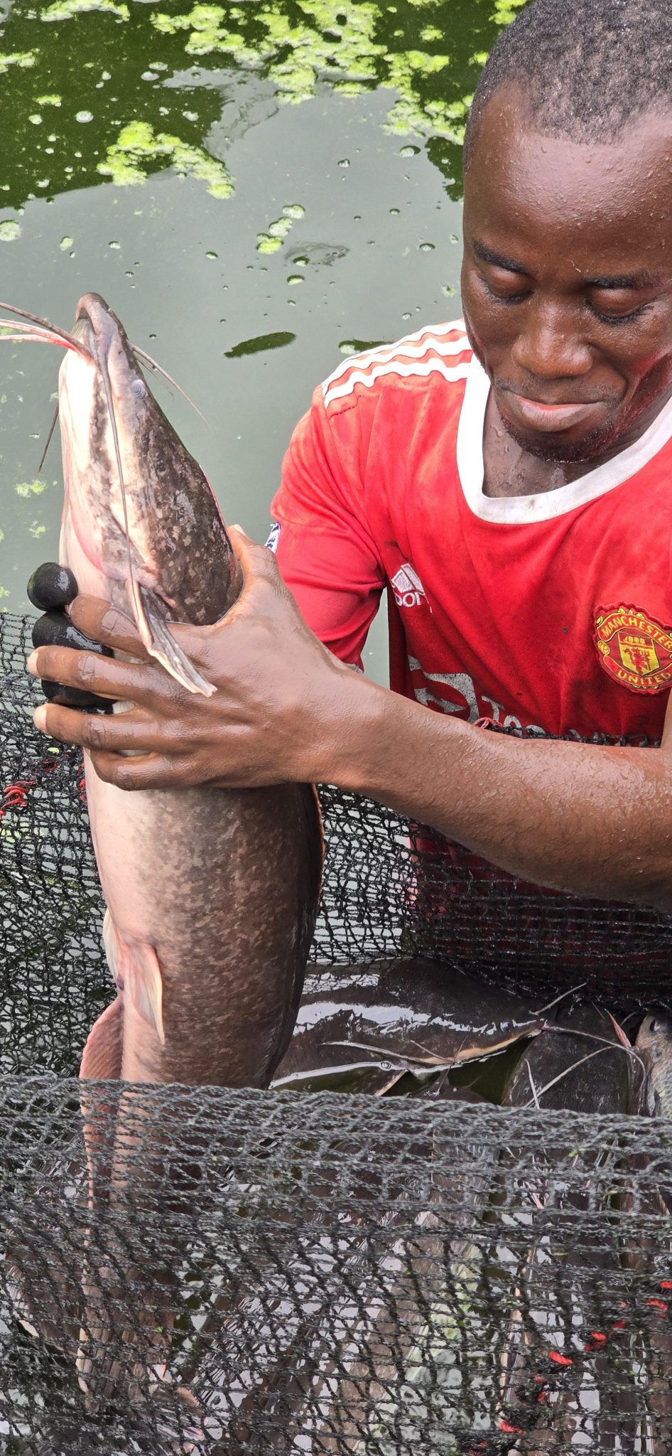 JNB Foundation’s boss motivated after visit to Garden Fish Farm ...