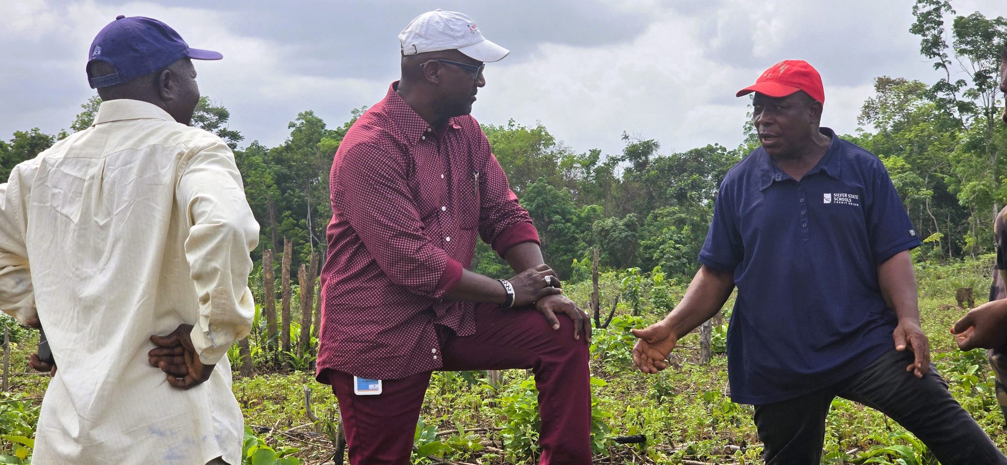 JNB Foundation Tubmanburg’s ranch looks Eco-friendly & more than ...